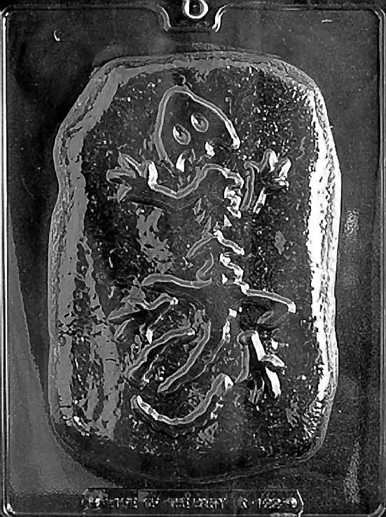 Dinosaur Fossil Chocolate Mold – Lynn's Cake, Candy & Chocolate Supplies
